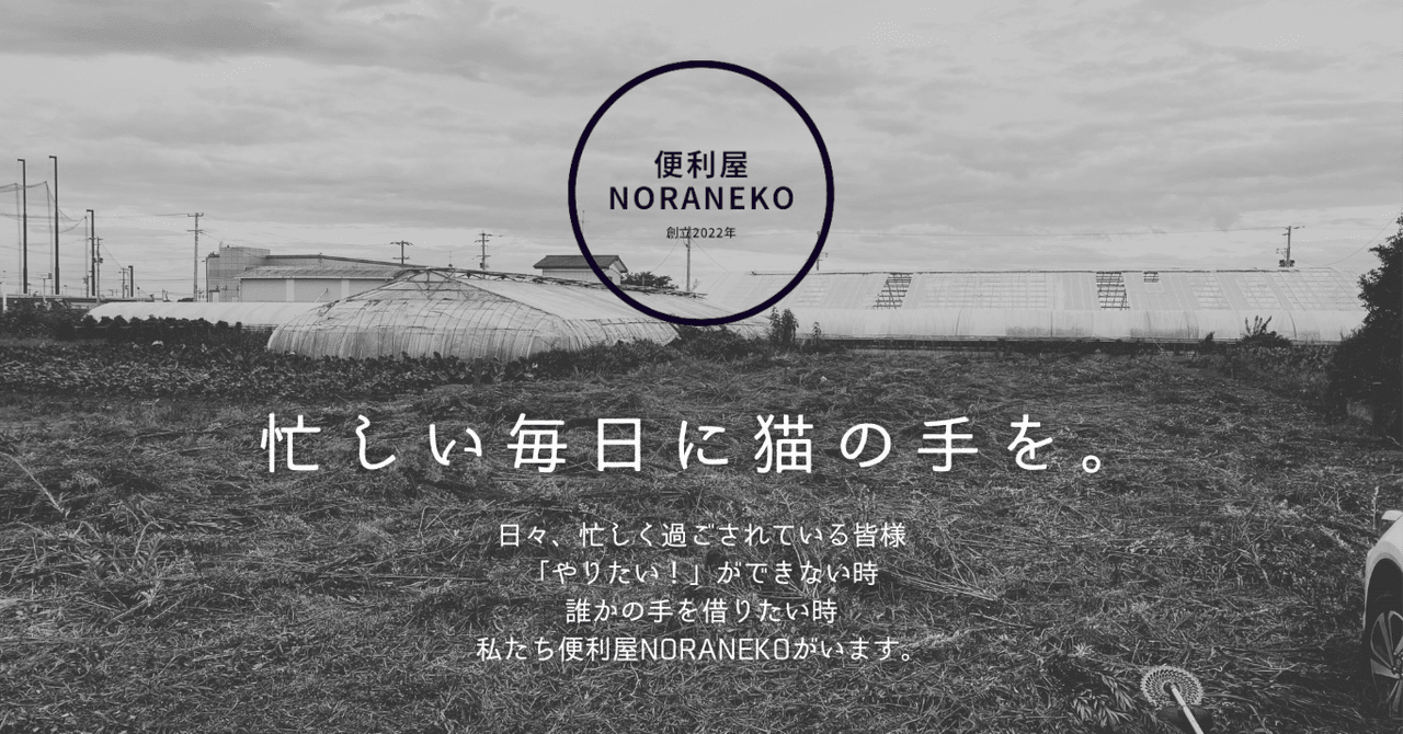 ホームページをリニューアルしました！｜髙橋＠便利屋NORANEKO