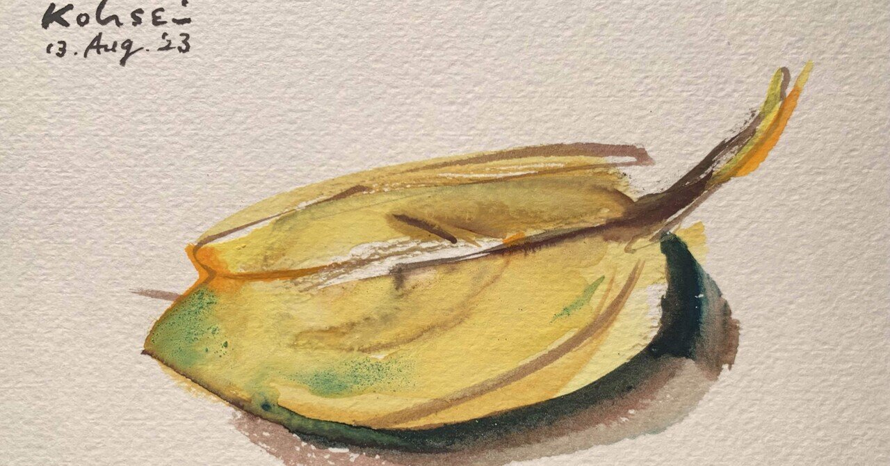 落ち葉を部屋にひとつ｜Kohsei 恒星