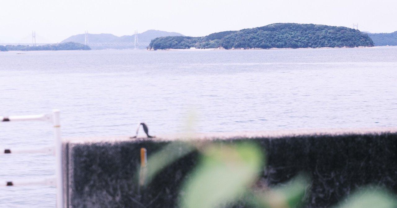 削ぎ落すこと、削ぎ落したくないこと｜Kaho Hashimoto