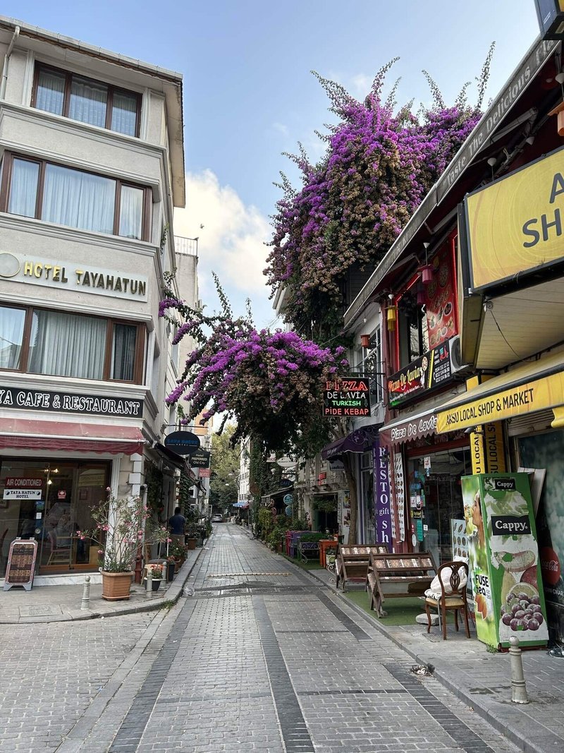 トルコ旅行記2 ギュルハネ公園、スルタン・アフメット・ジャーミィ、アヤソフィア、トプカプ宮殿など。｜YASUHIRO SAN