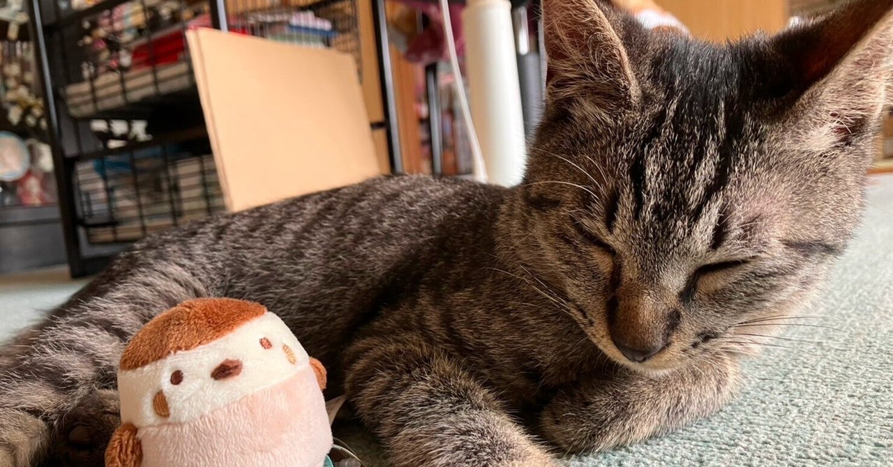 最終回「マリモがわが家に？」～Welcome back HAPPY⑧｜Hiroyuki.M