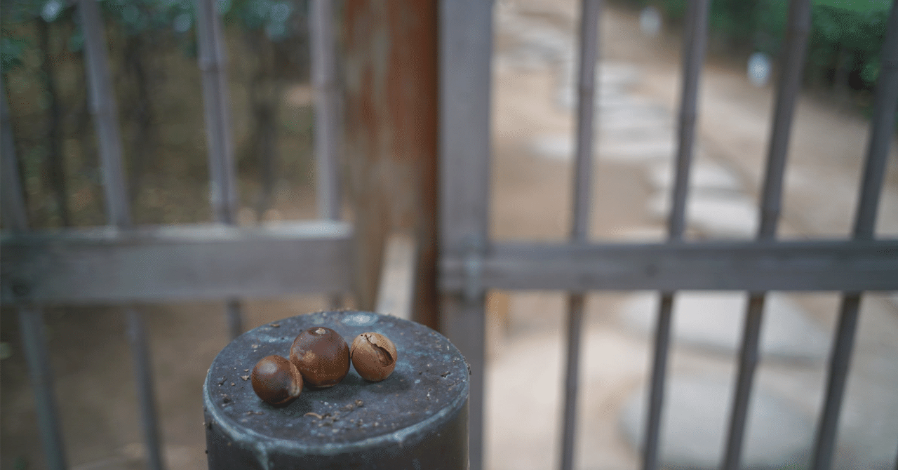 【四柱推命】戊（tsuchinoe）の10/2〜10/8の運勢｜さらさら占い