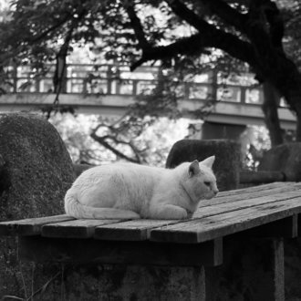 ochi@投資家・自由人｜note