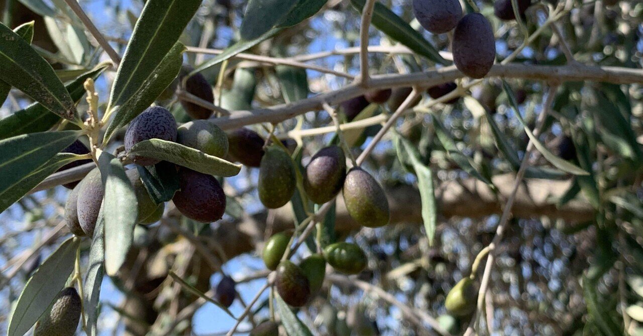 2023年10月1日｜YUKI OTA