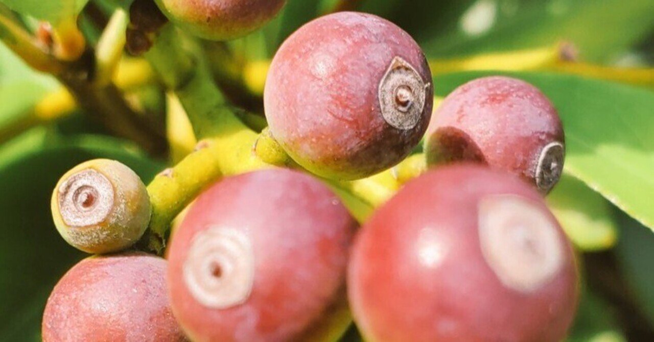 生理現象ぶんぶん｜ぶんぶんぶつぶつ