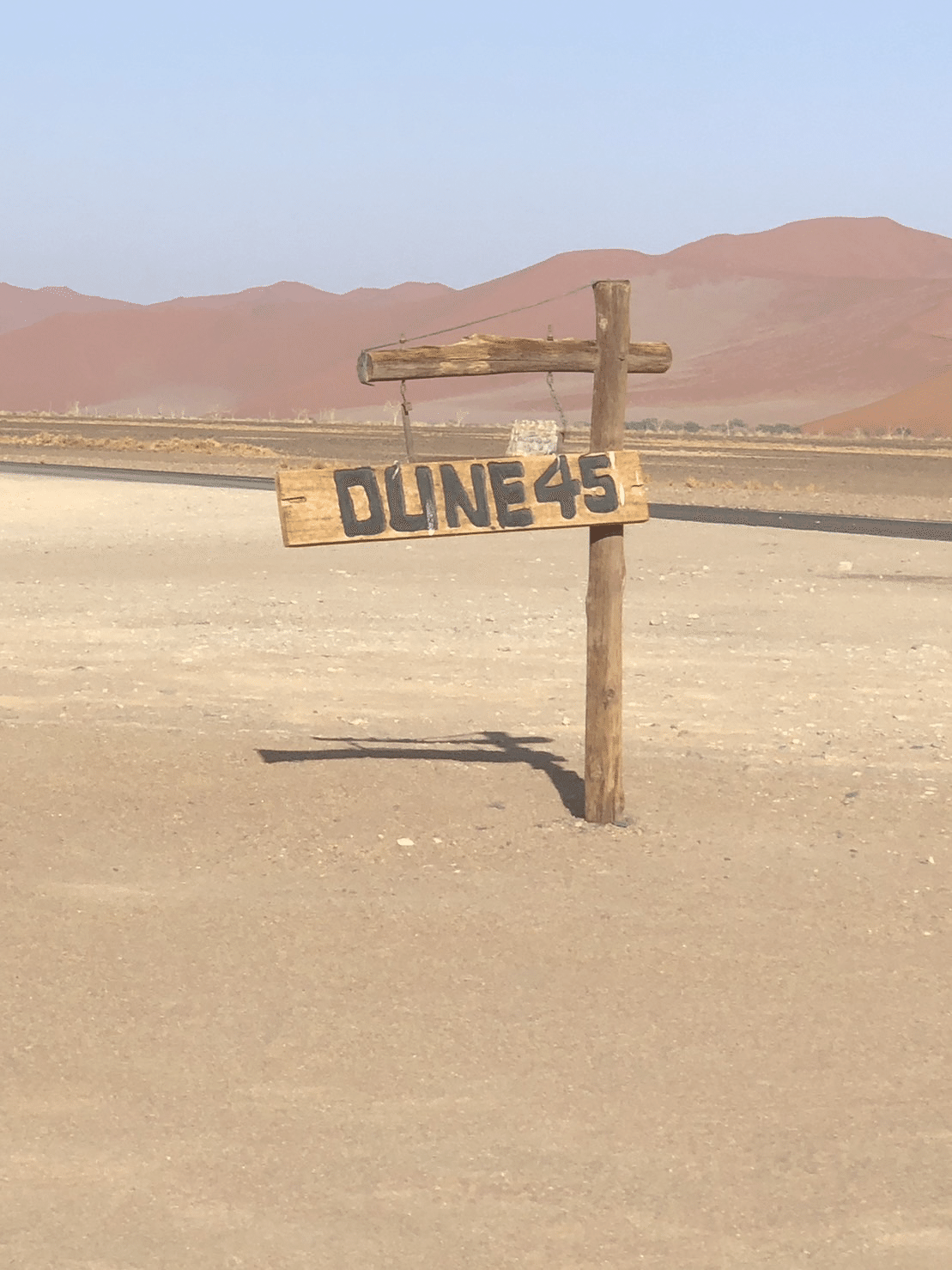 世界最古の砂漠地帯、ナミブ砂漠で世界一美しい砂丘を堪能｜灰原香奈|ライター