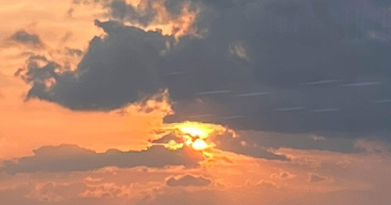 project:ZENKAI、第3期を終えました。【2023年9月30日】｜三浦宗一郎 / Soichiro Miura