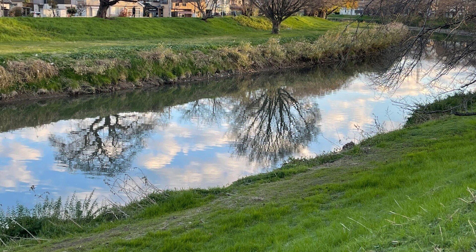 芸術｜Megumi Kato｜note