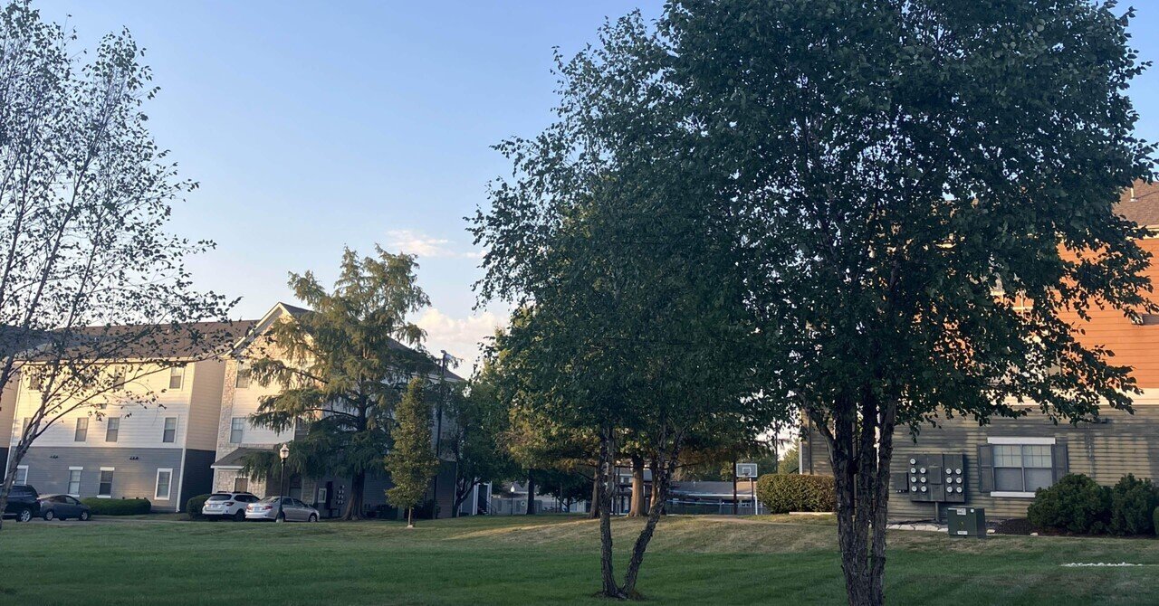 on LAZY MOOD｜Yui Suzuki