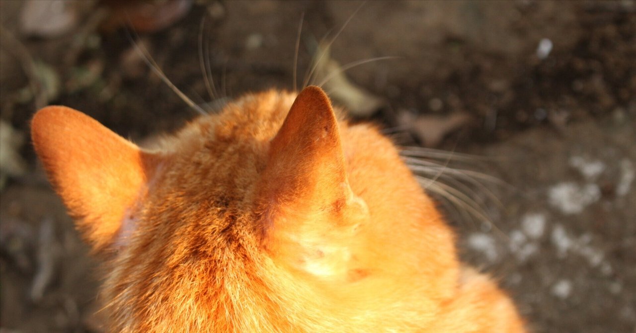 【ChatGPT×Python×Logic Pro】music21にAIが生成したJSONファイルを読み込ませ、MIDIファイルを生成｜後藤 ...