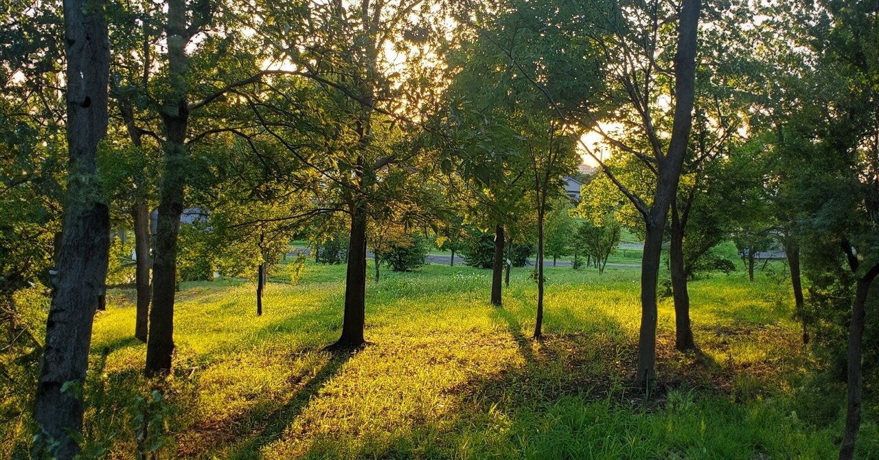 緑の丘公園に行って丘に登らず｜Akira Someya
