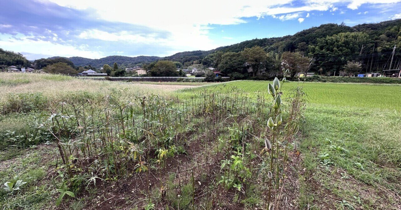 葉っぱがなくなった。｜Tact Masuda