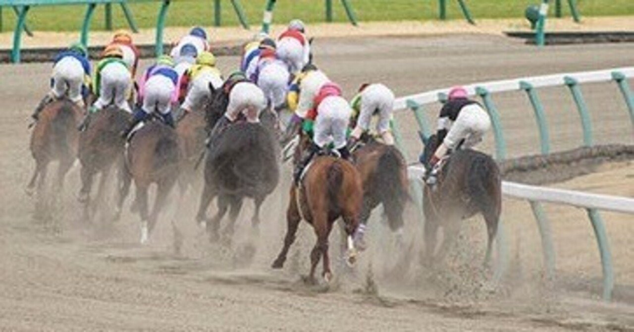 地方競馬予想 104（水） 大井全レース｜スマイリー｜競馬予想project🐎