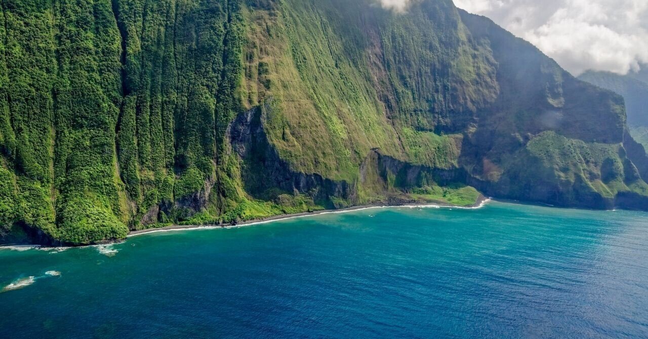 マティアス・デ・ステファノ｜Sydney Kaoru