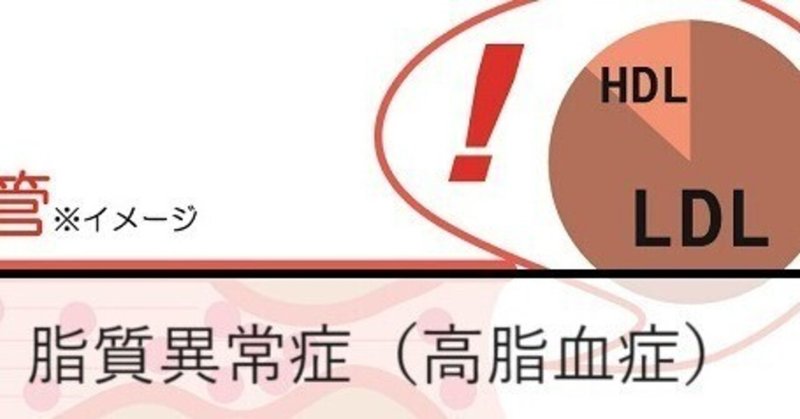 【完全公開はnoteだけ】サクッとまるわかり！脂質異常症（高脂血症）の看護診断｜なんでなんだナーシング30 ～看護師・看護学生のための超