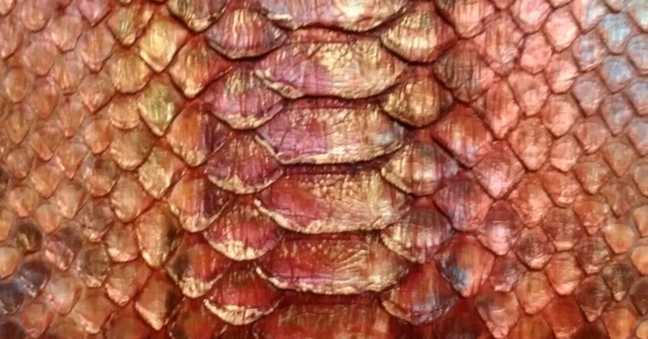 October, 4th, 2023｜Kyoko Toro