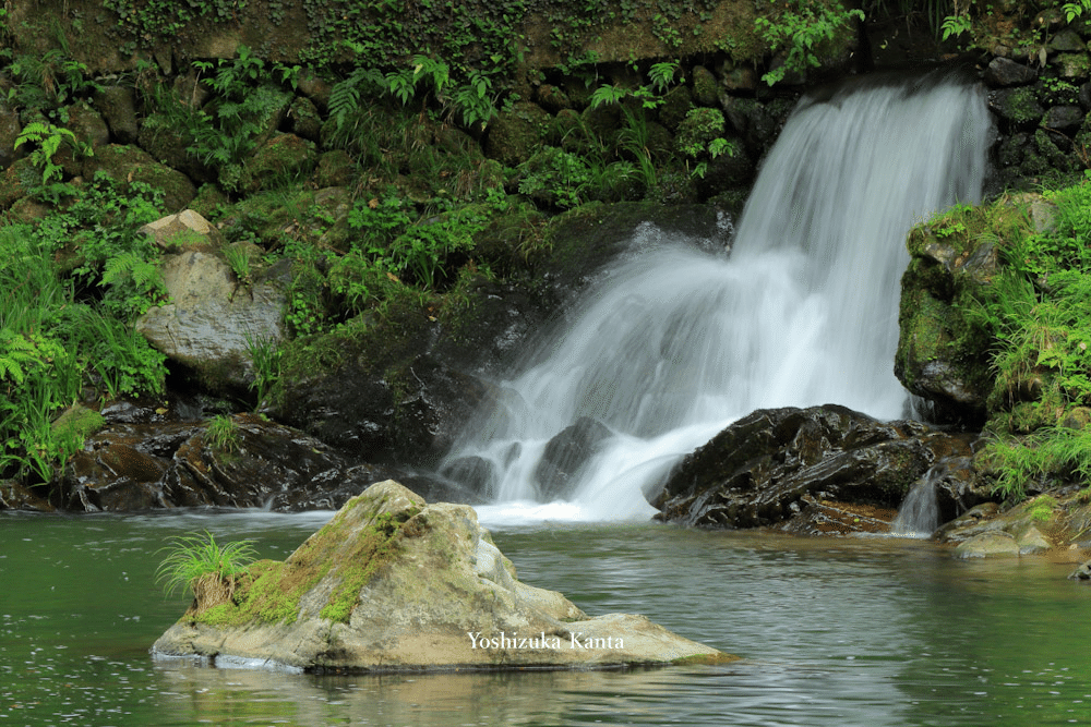 曇りは撮影チャンス！？～曇りの日の撮影のコツ～｜Photozuka