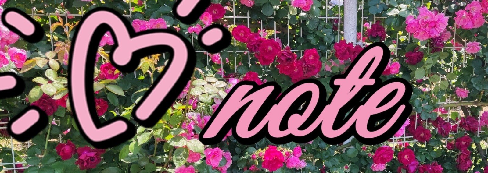 春原美桜(miosuhara)｜note