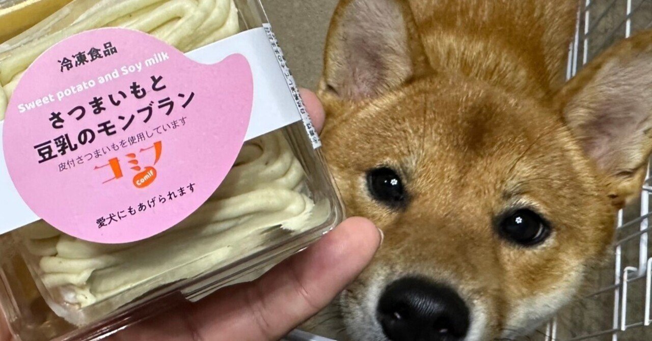 こなつチャンネル(49)それなぁに？｜NicePapa 平野 尚志