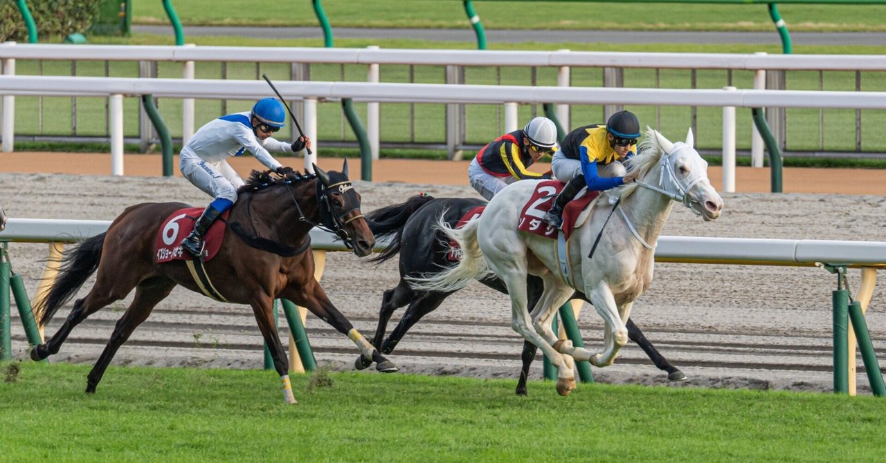 【2023 府中牝馬s（g2）】日刊馬番コンピ指数分析予想篇｜haya