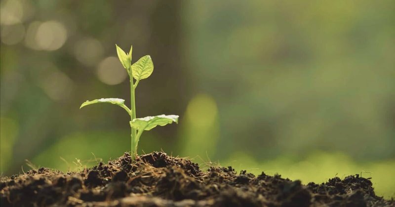 Suzuka Kokubu｜note