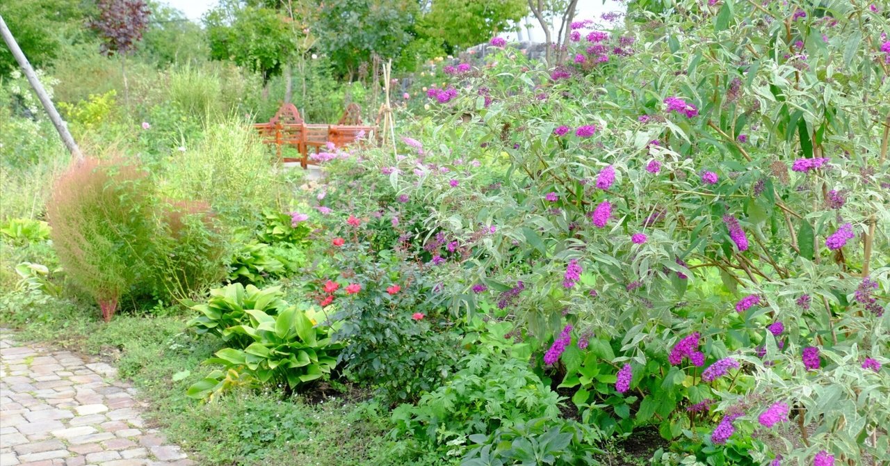 秋のハイウェイガーデン｜tabito