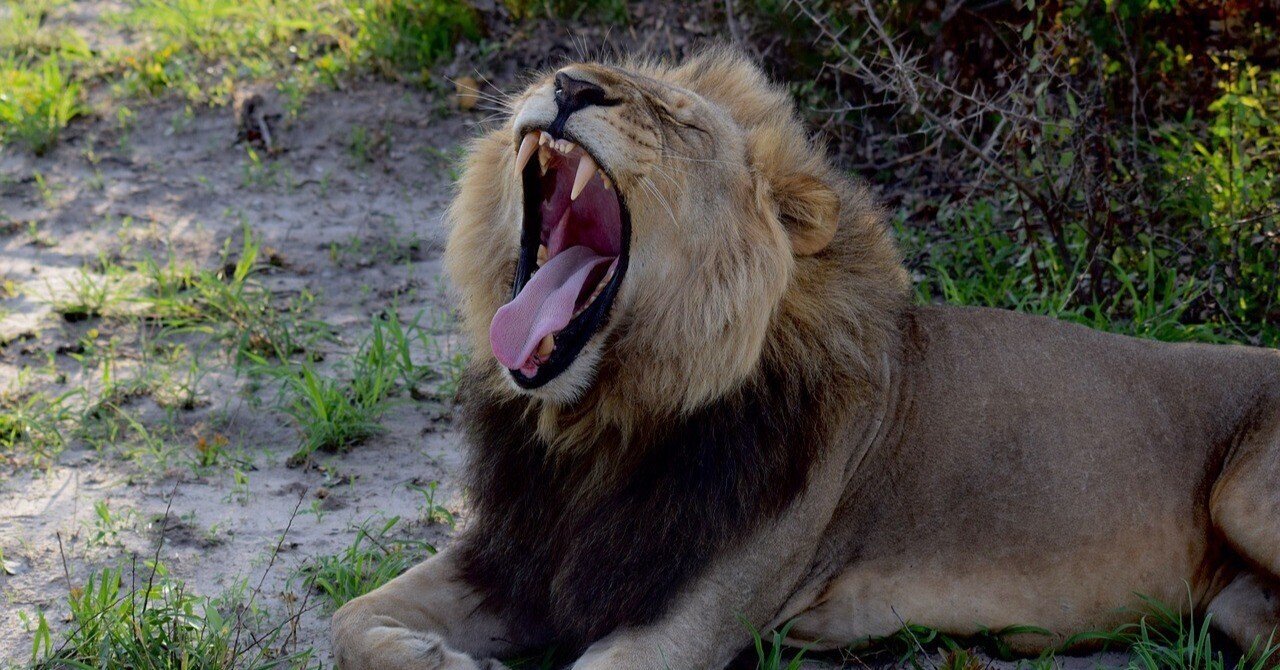 #019.呼吸2（吸気実践編）｜荻原明（おぎわらあきら）：トランペット