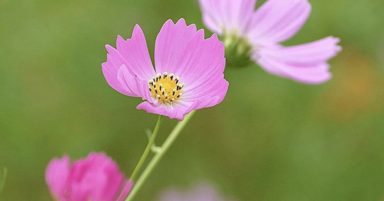 Ubuntu 23.10（mantic）の開発 / リリースまであと一週間・Raspberry Pi5対応｜blue06_2022