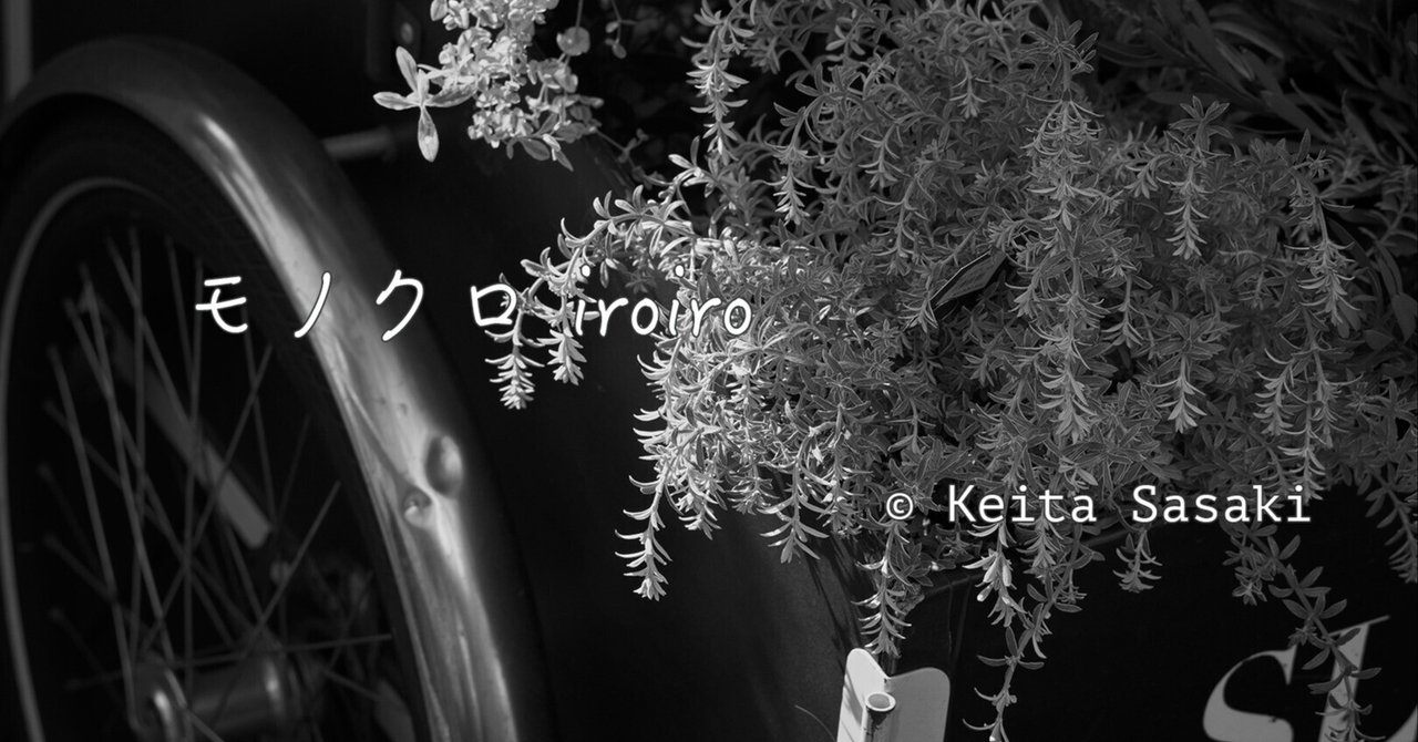 モノクロ iroiro｜佐々木啓太