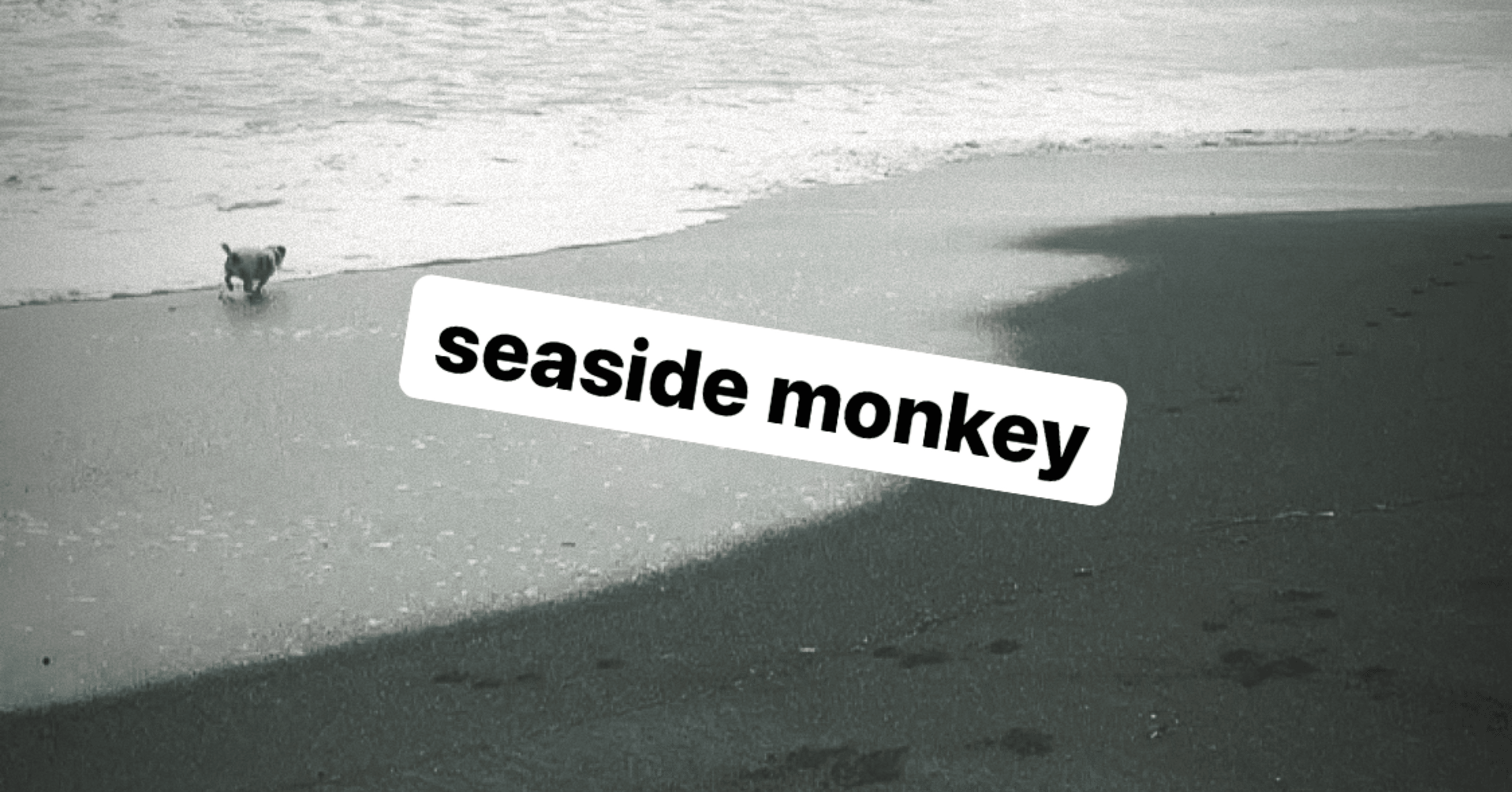 seaside monkey ｜note