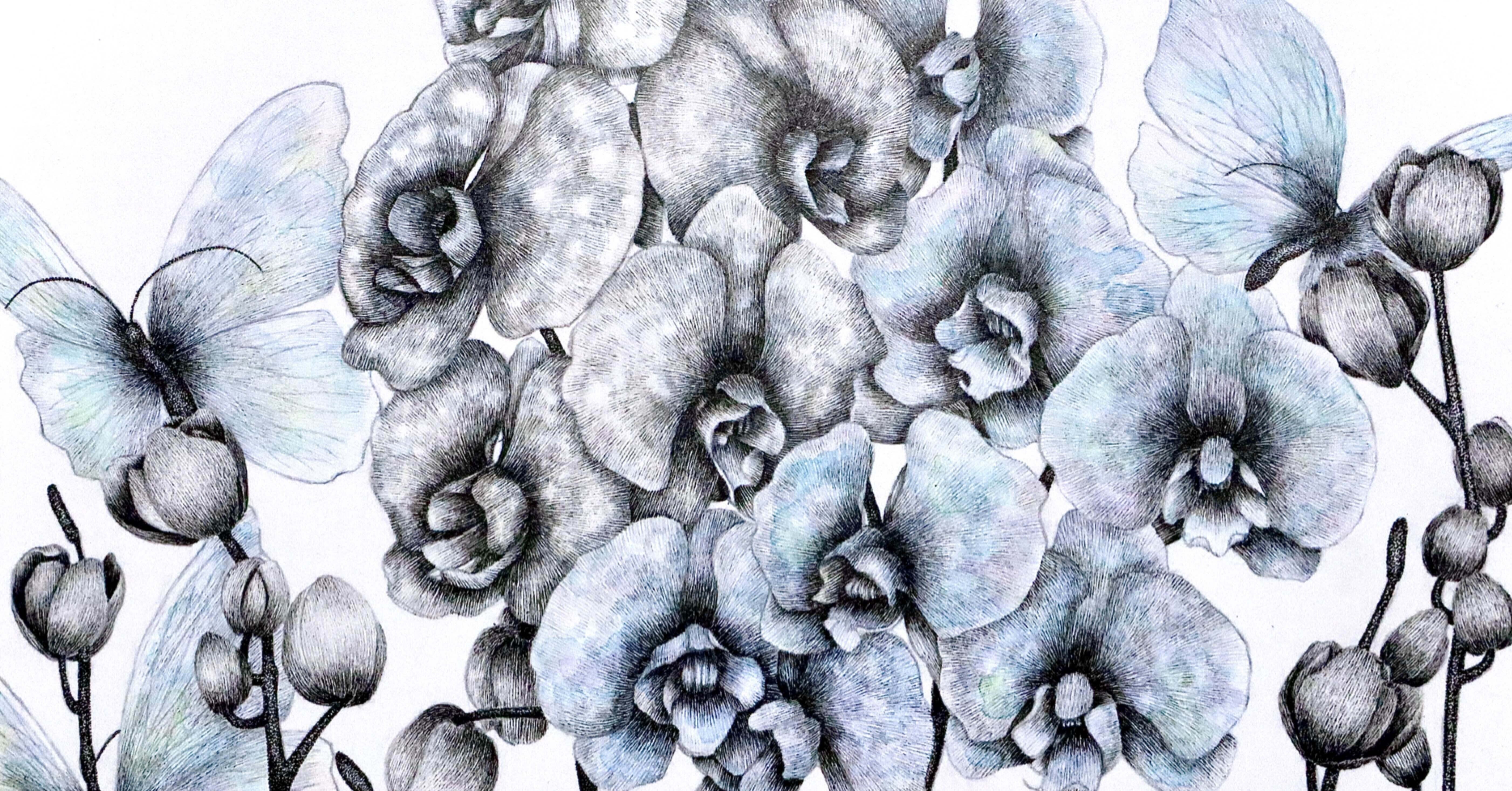 松浦 蜜柑 / Mikan Matsuura｜note