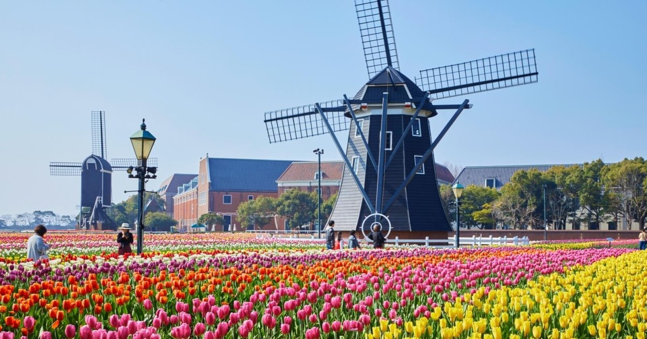 ポイントカードはどこまで行けるか②【100日連続note 10/100】｜れ