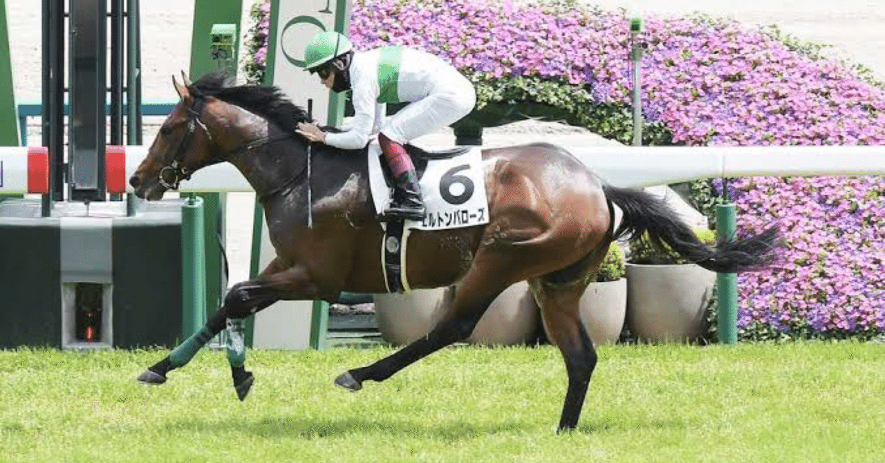 G2 毎日王冠 パドック前予想｜gappori_316