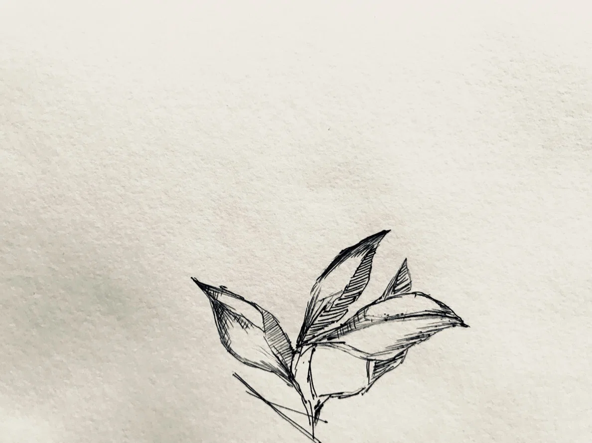 saku｜note