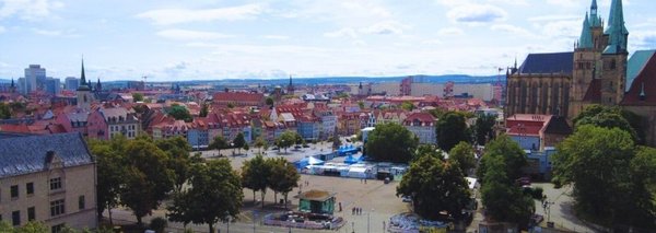 岡田 真奈｜Mana Okada｜note