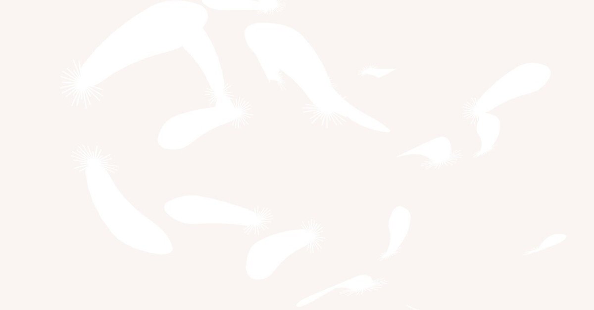 さらば、raytrek tab。｜non_suke