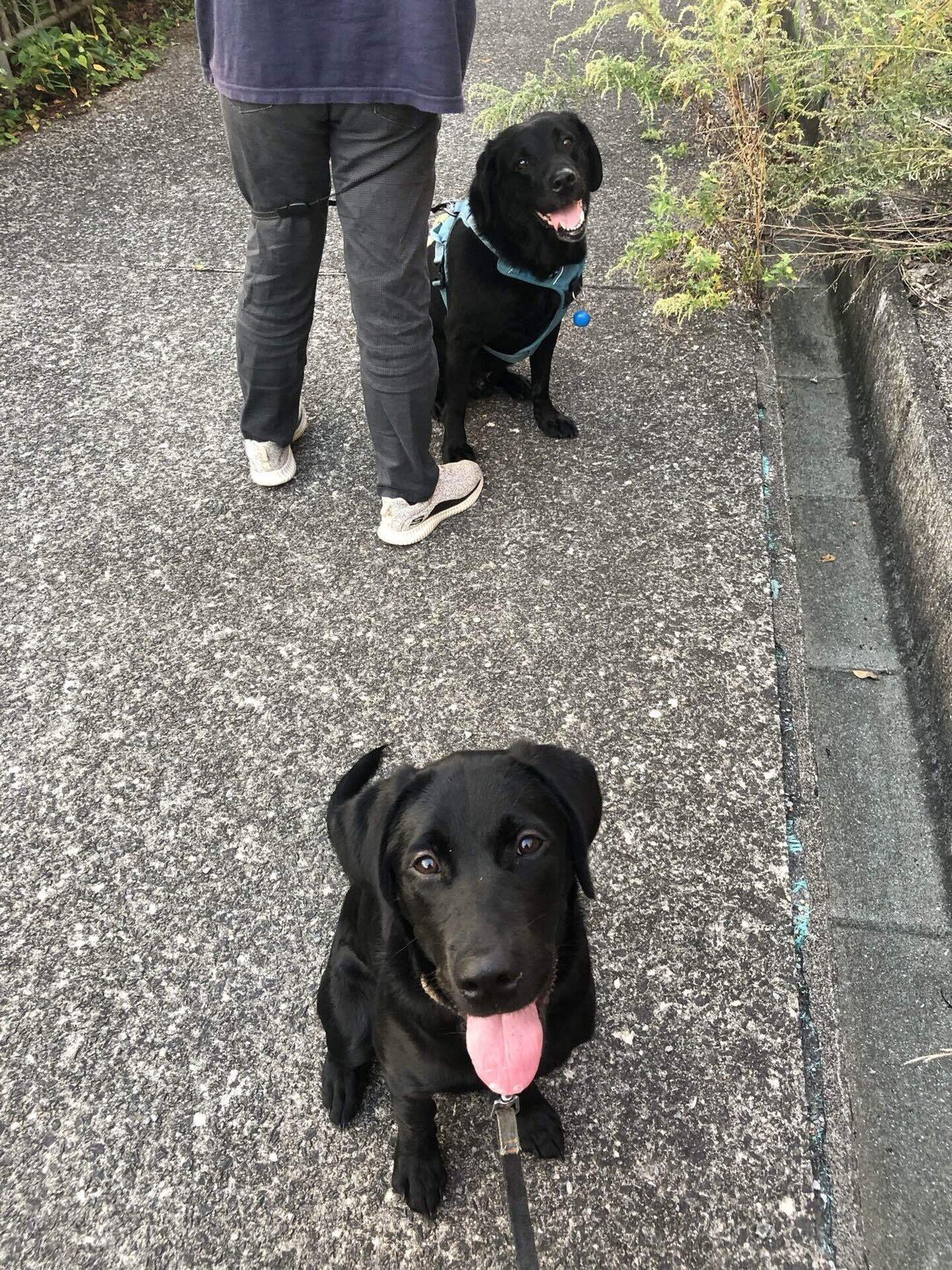 ラブあるある｜ユメカ（Yumeka.yy）