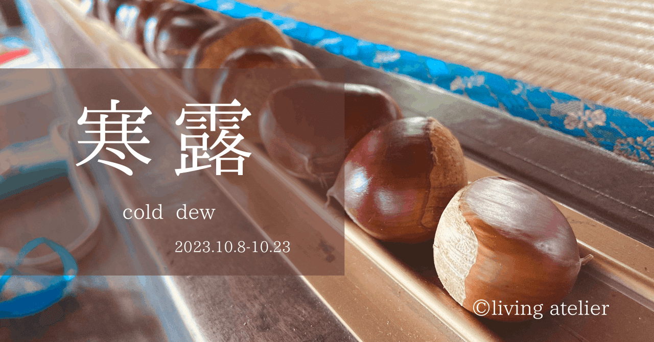 みせる形に整える｜まつばらあや｜living atelier