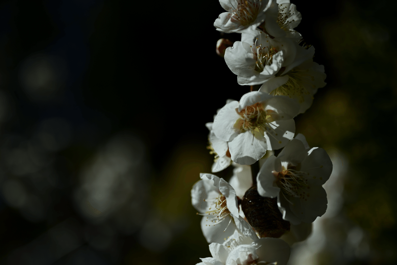 不安定、やわらかな緊張、避けたいもの。｜Shinichi Sendagi