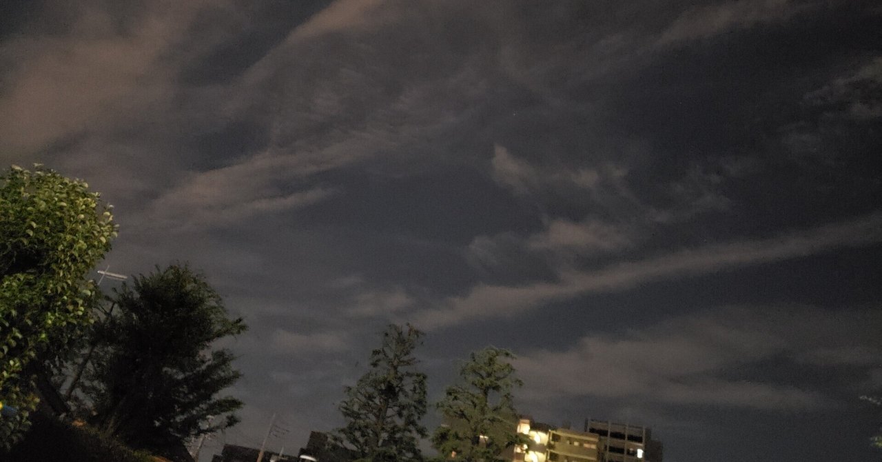 落ちるなら落ちろと僕は唱えた｜Akira Someya