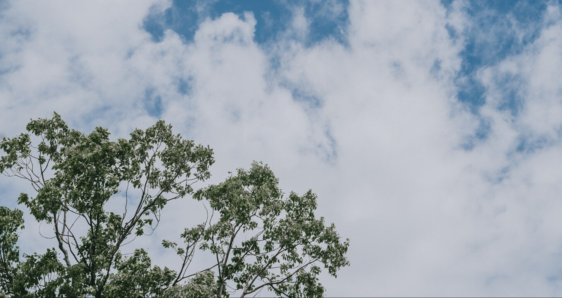 kudo shintaro | nosuke｜note