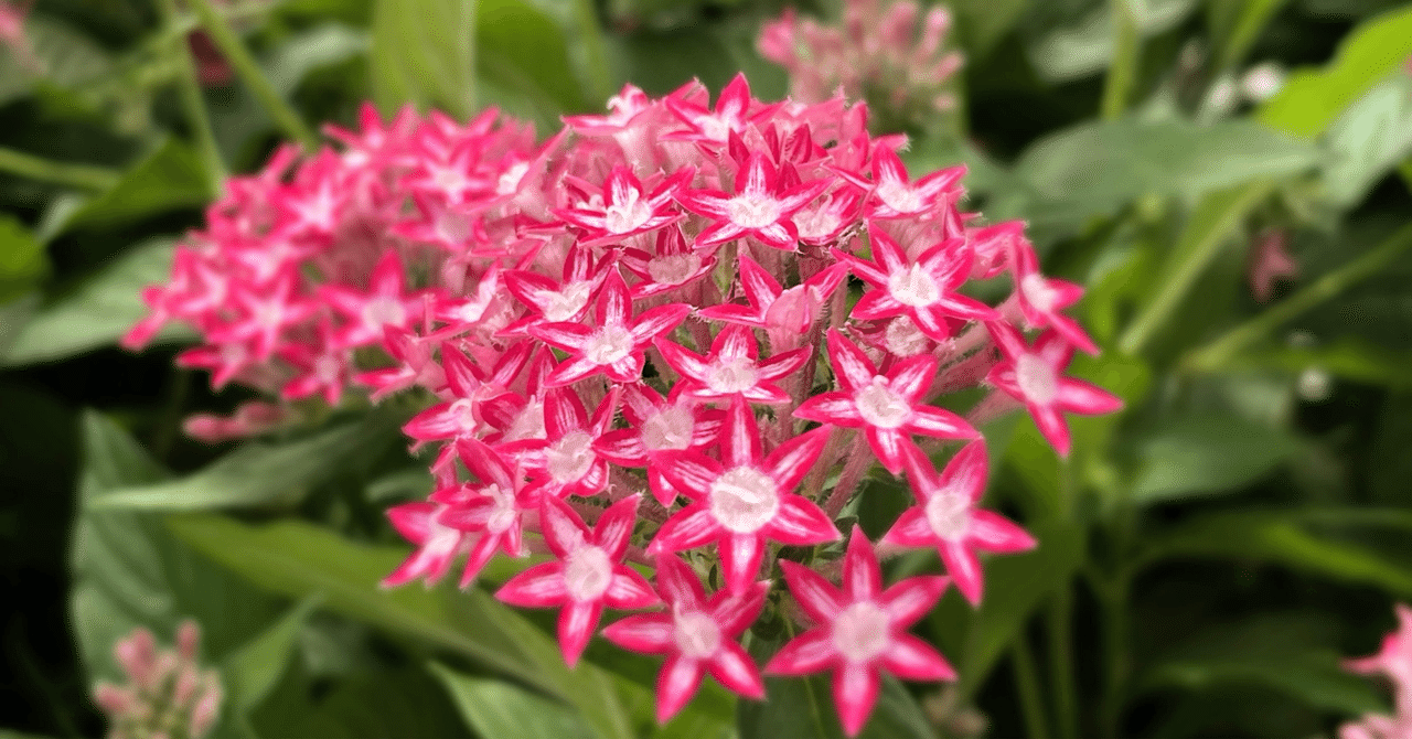 ubuntu 23.04ja HDD install その2｜blue06_2022