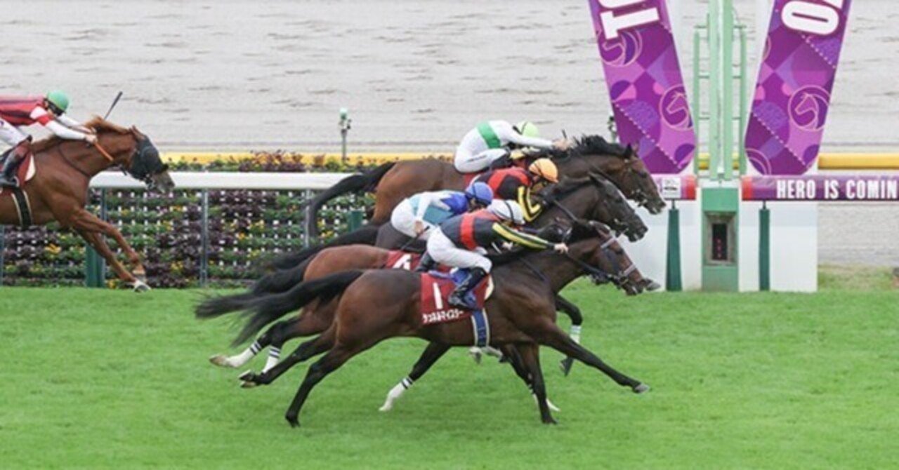 【毎日王冠（g2）回顧～その先へ】日刊コンピ篇｜haya
