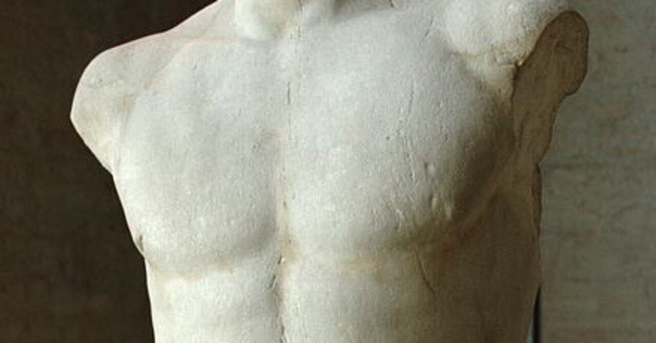 Torsoとは?｜nobutarou