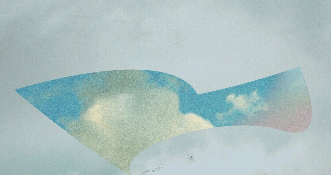 渡辺 さやか | Sayaka Watanabe｜note