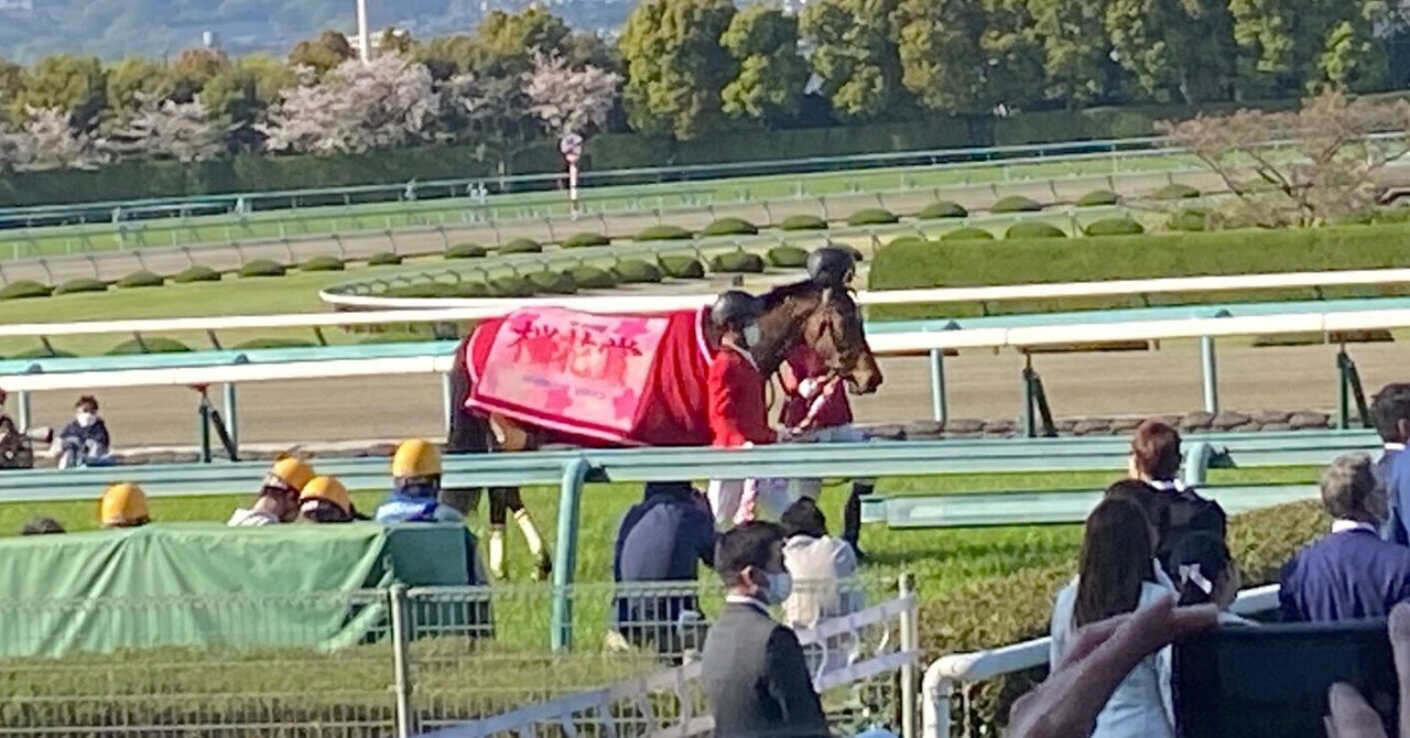 🌈2023年10月15日日 中央競馬🏇🟥東京・京都競馬場オクトーバーs ・秋華賞・信越ステークスなど🔵メイクデビュー2歳戦🔥枠順確定