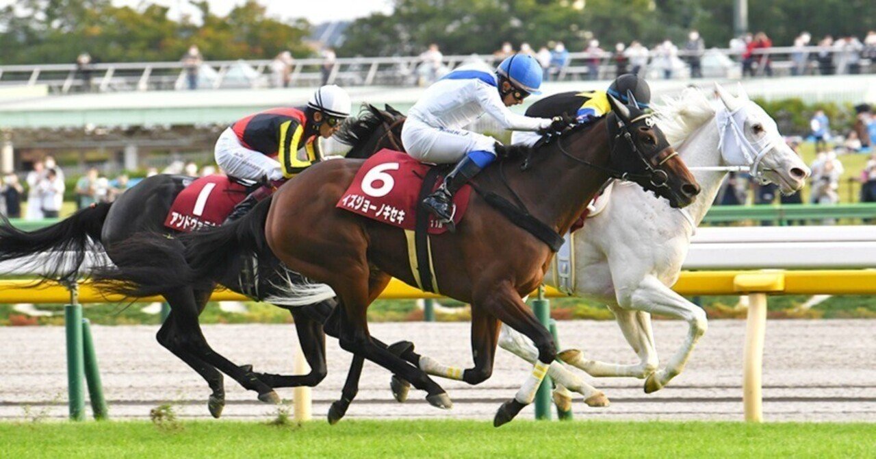 【2023 府中牝馬S（G2）】徹底的に攻略データ篇｜Haya