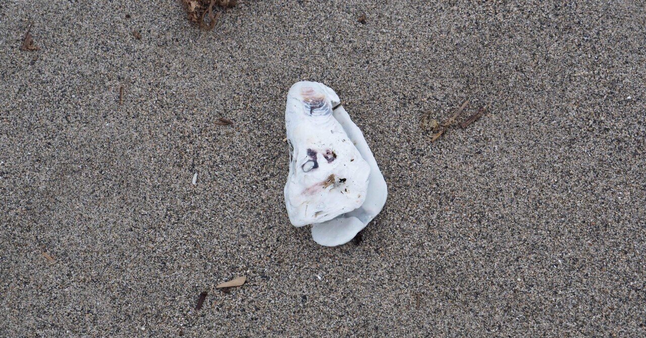 頭と身体が揃わない｜Noro Daiki