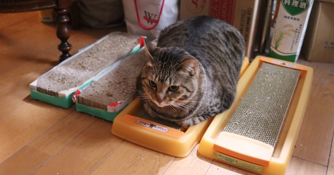 ニャンタジアを使おう｜紅＝猫の瞳に恋する執事 Ti amo♡ ＃キジトラ ＃note ＃小説 ＃エッセイ ＃猫がいる幸せ