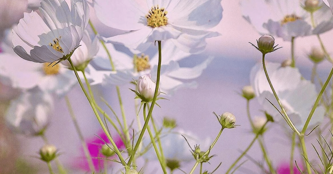 ubuntu 23.04ja HDD install その3｜blue06_2022